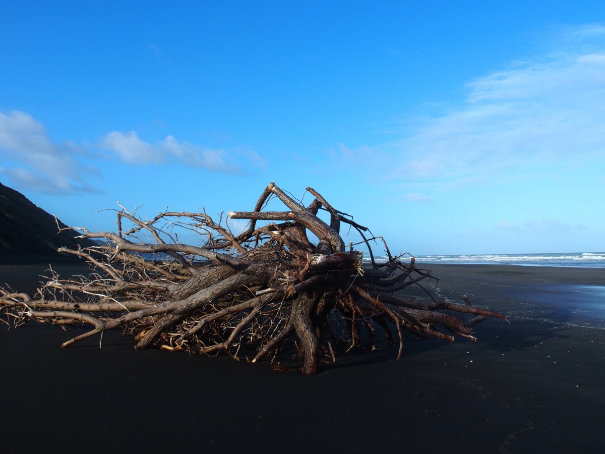 The Beach Cottage | Off The Beaten Track | Off The Beaten Track